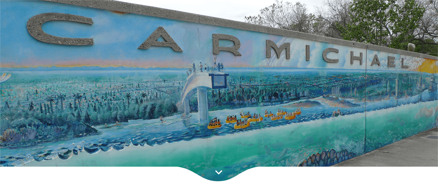 Carmichael - Lawyer On My Side